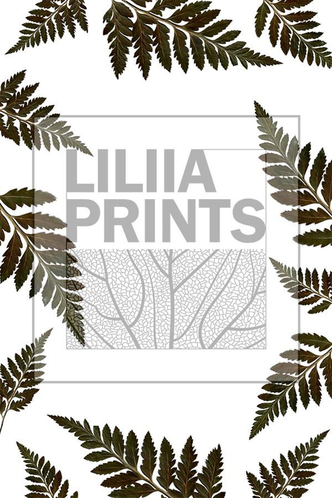 PNG Clipart Digital Frame Fern Frame Digital Clipart Printable Web ...