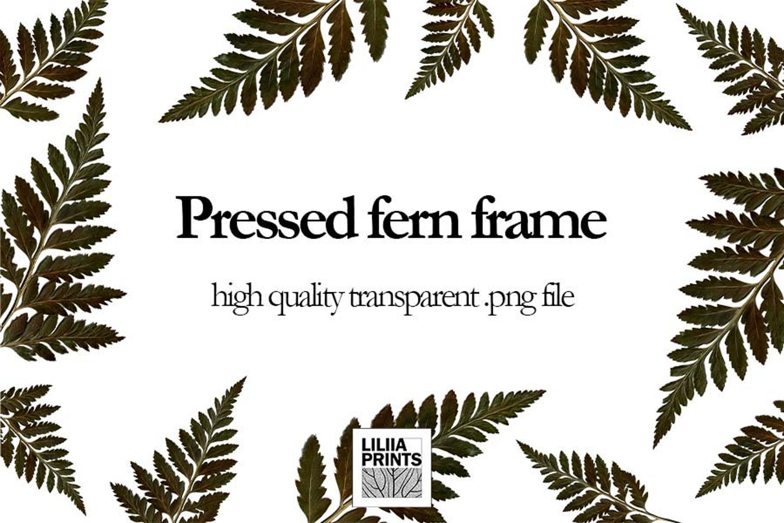PNG Clipart Digital Frame Fern Frame Digital Clipart Printable Web ...