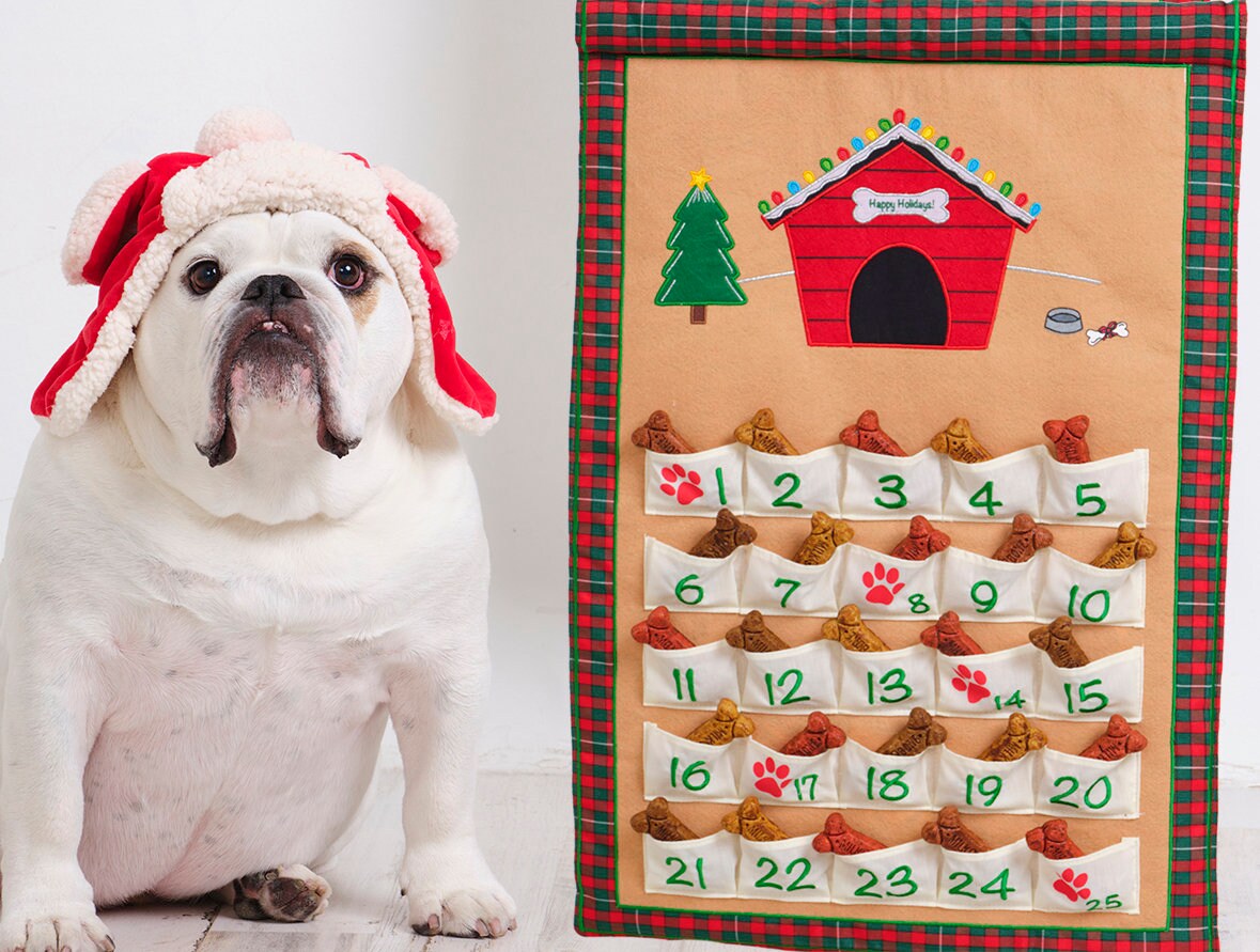 Dog Advent Calendar - Pet Christmas Countdown - Etsy