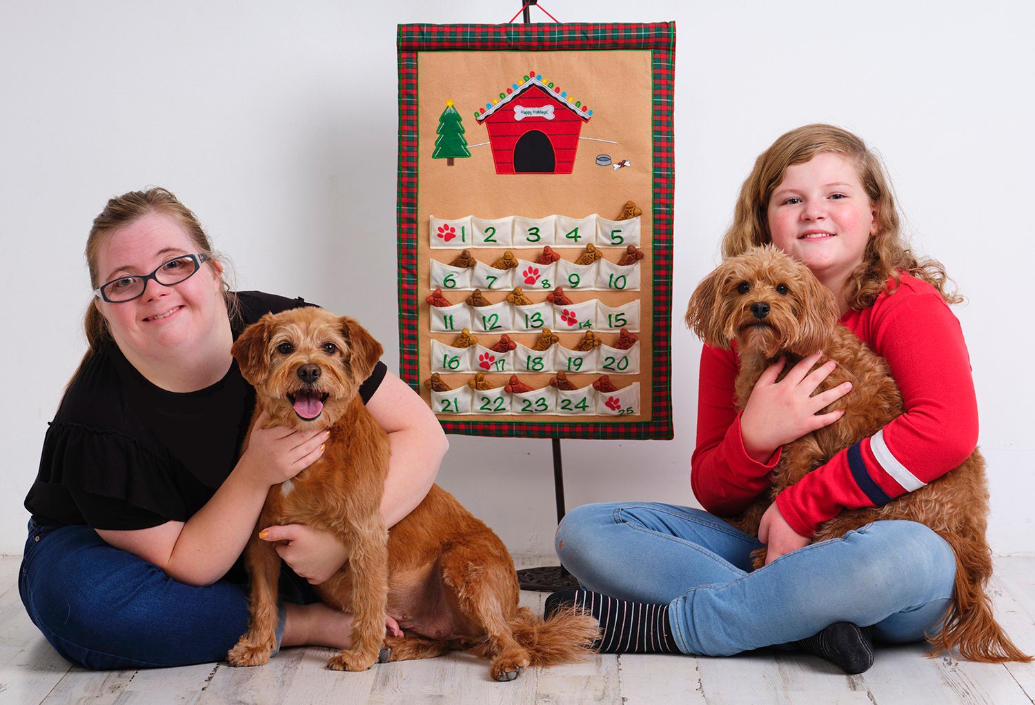 Dog Advent Calendar - Pet Christmas Countdown - Etsy