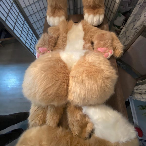 Full fursuit - Etsy México