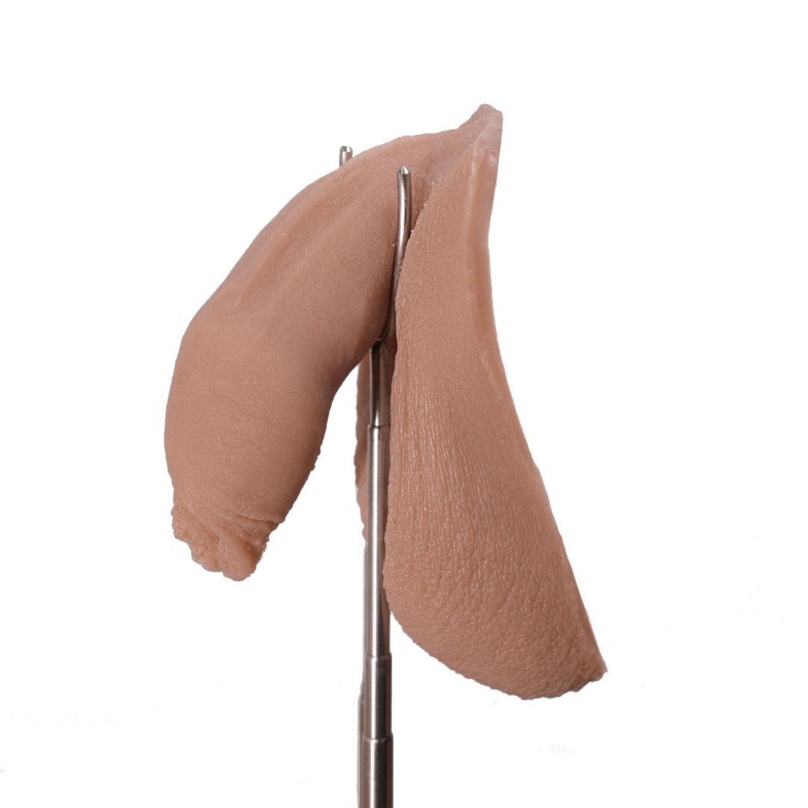 SP6 FTM PACKER REALISTIC Banana prosthetics | Etsy