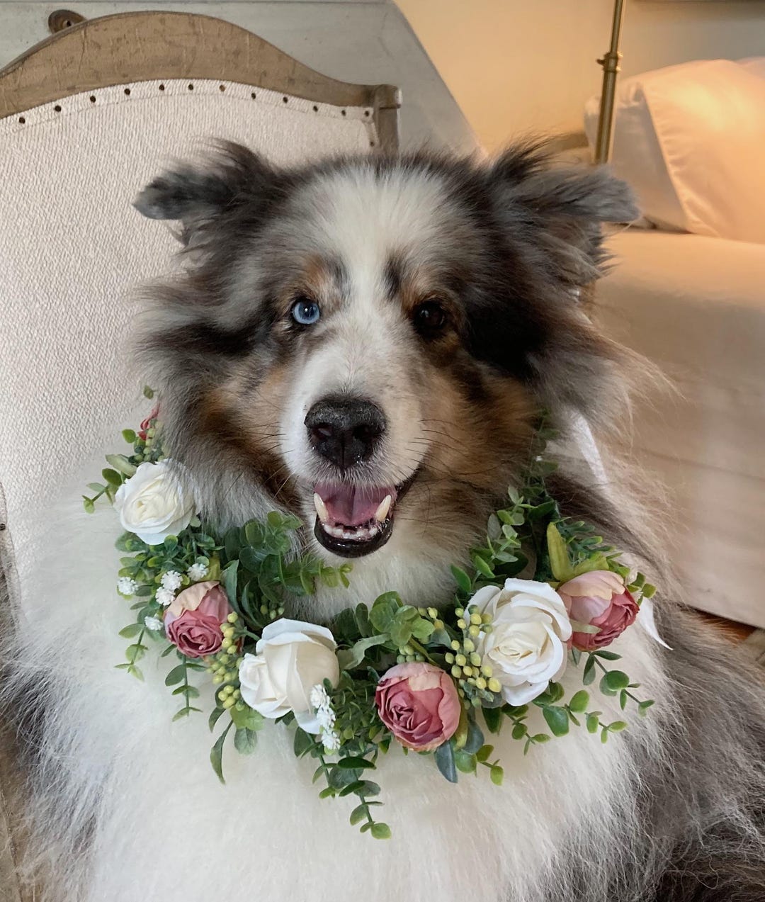 White and Mauve Roses With Eucalyptus and Baby's Breath Dog Wedding ...