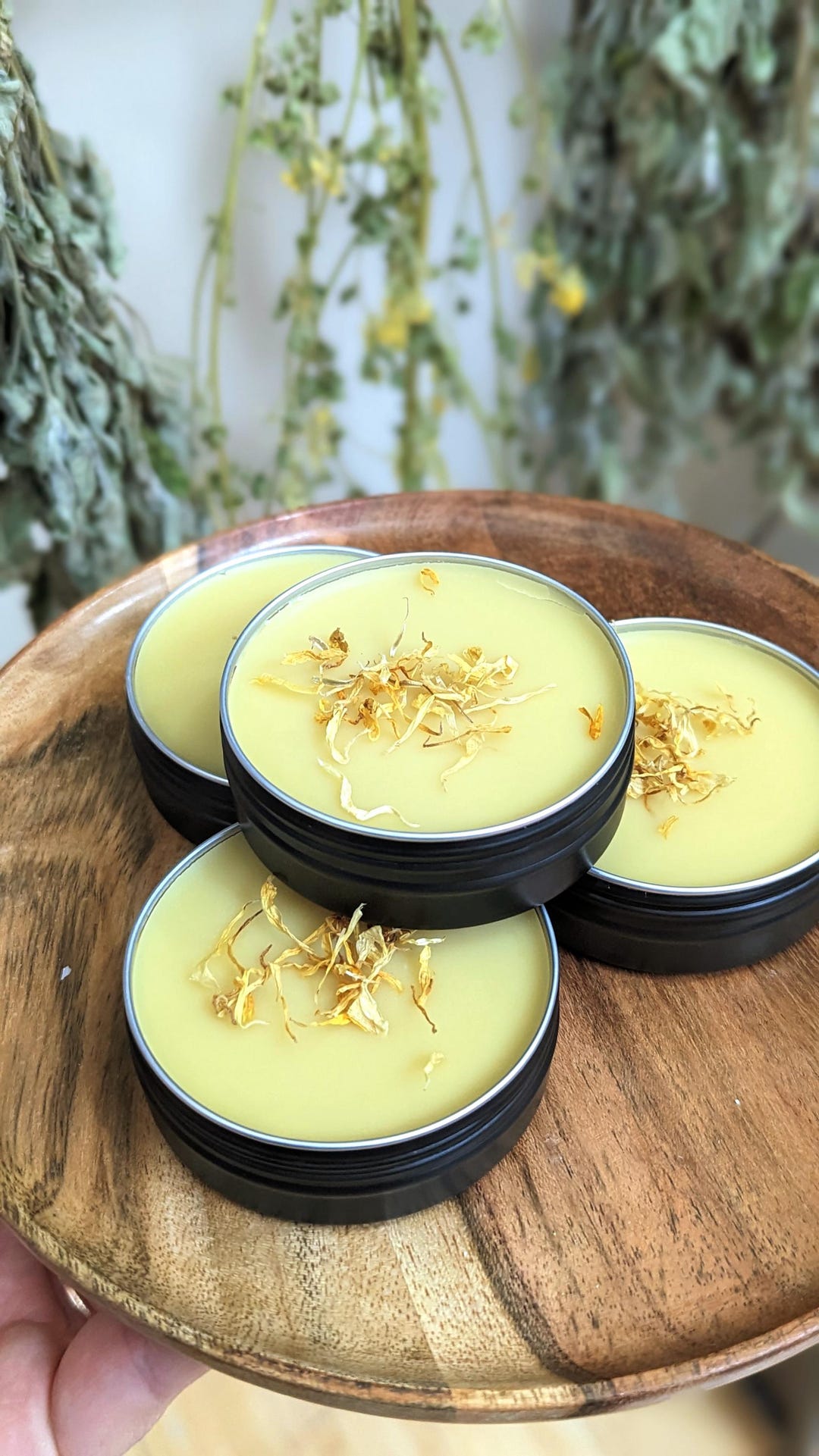 Herbal Salve| Botanical Skincare | Vegan Skin Food | Beeswax Salve ...