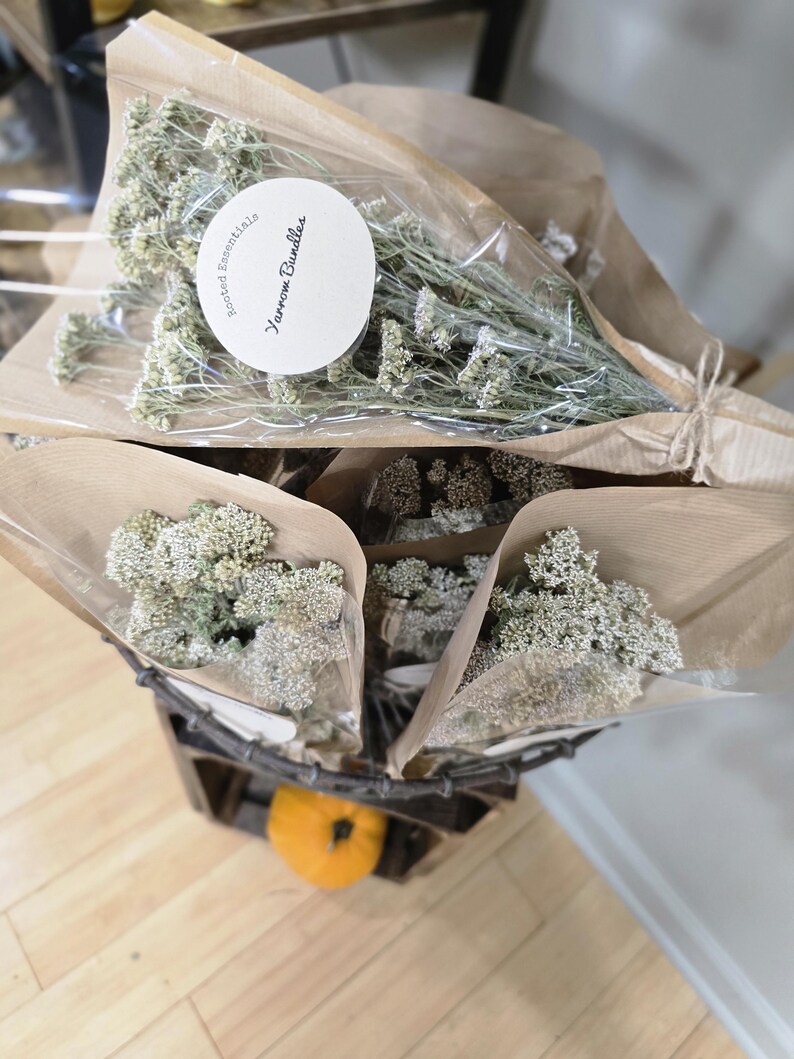 Dried Yarrow Bundles | Homegrown Herb, Apothecary & Decor - Etsy