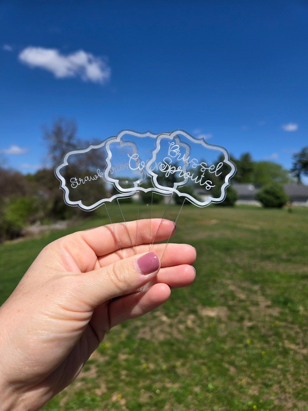 Vegetable Garden Plant Name Tag Stakes - Set of 6 - Etsy