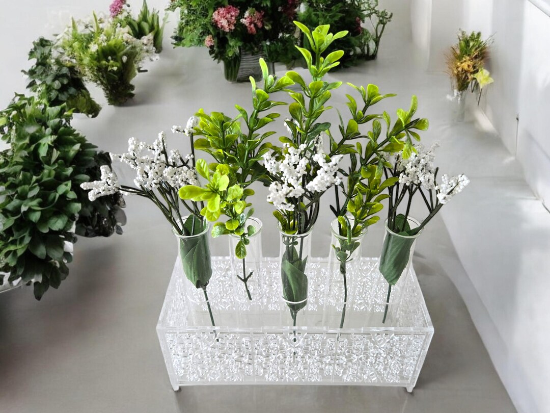 Clear Propagation Box - Holds up to 5 Plant Clippings - Etsy
