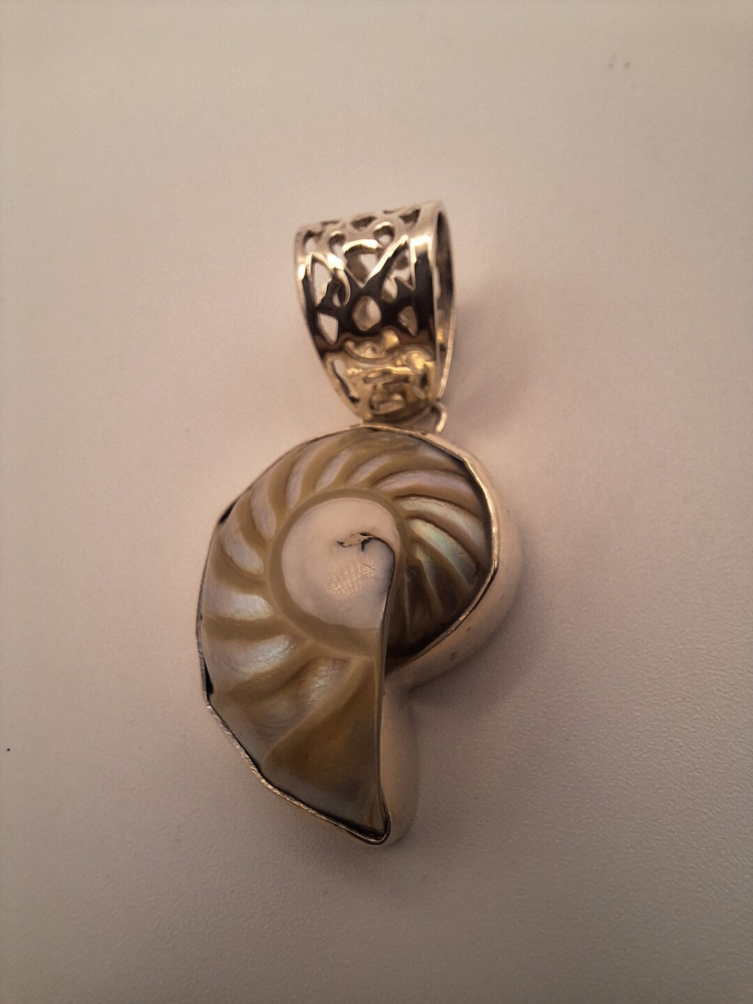 Kathy Collection Natural Nautilus Sterling Silver Pendant - Etsy
