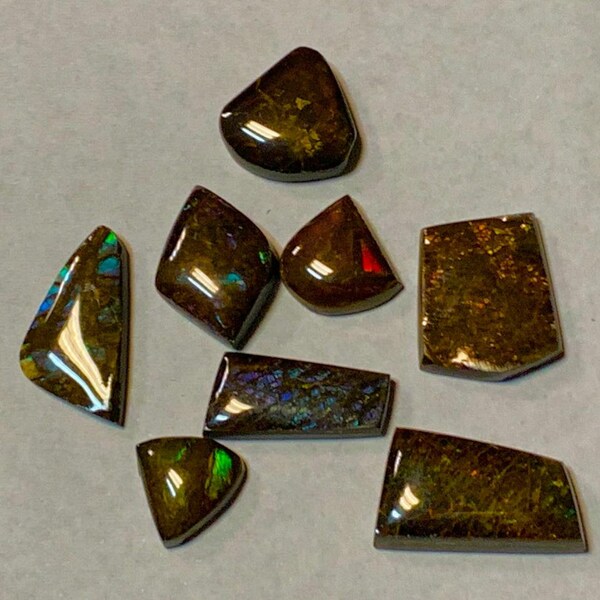 Canadian Ammolite - Etsy