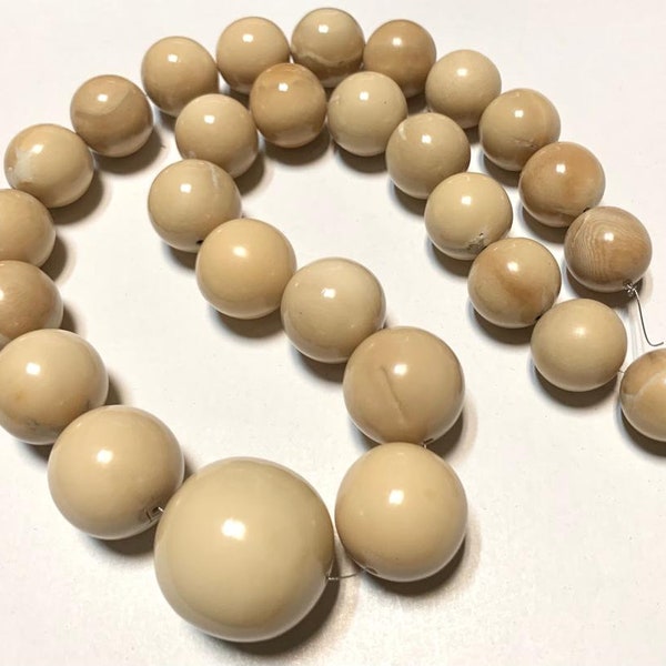 Vegetable Ivory - Etsy