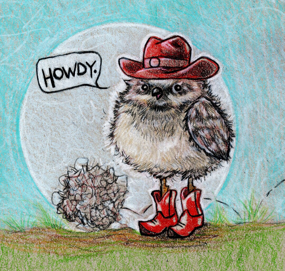 Howdy Birdy (cowboy Bird Original Colored Pencil Drawing) - Etsy