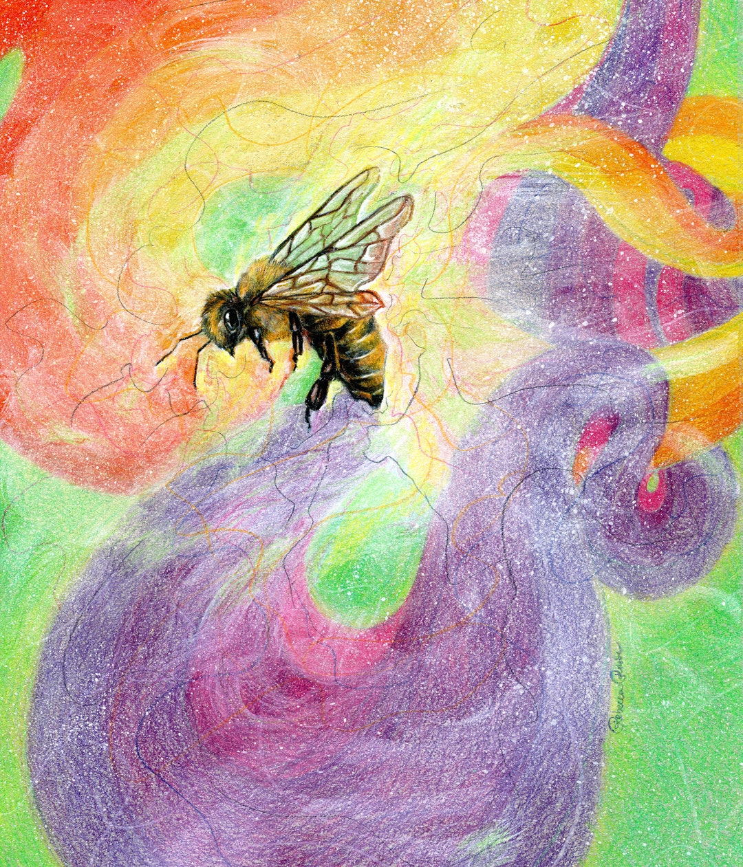 Pollinator: St. Francis Bee (original Colored Pencil Bee Drawing) - Etsy