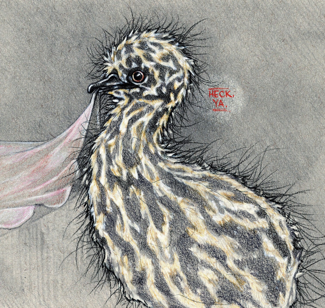 Baby Emu (original Colored Pencil Drawing) - Etsy