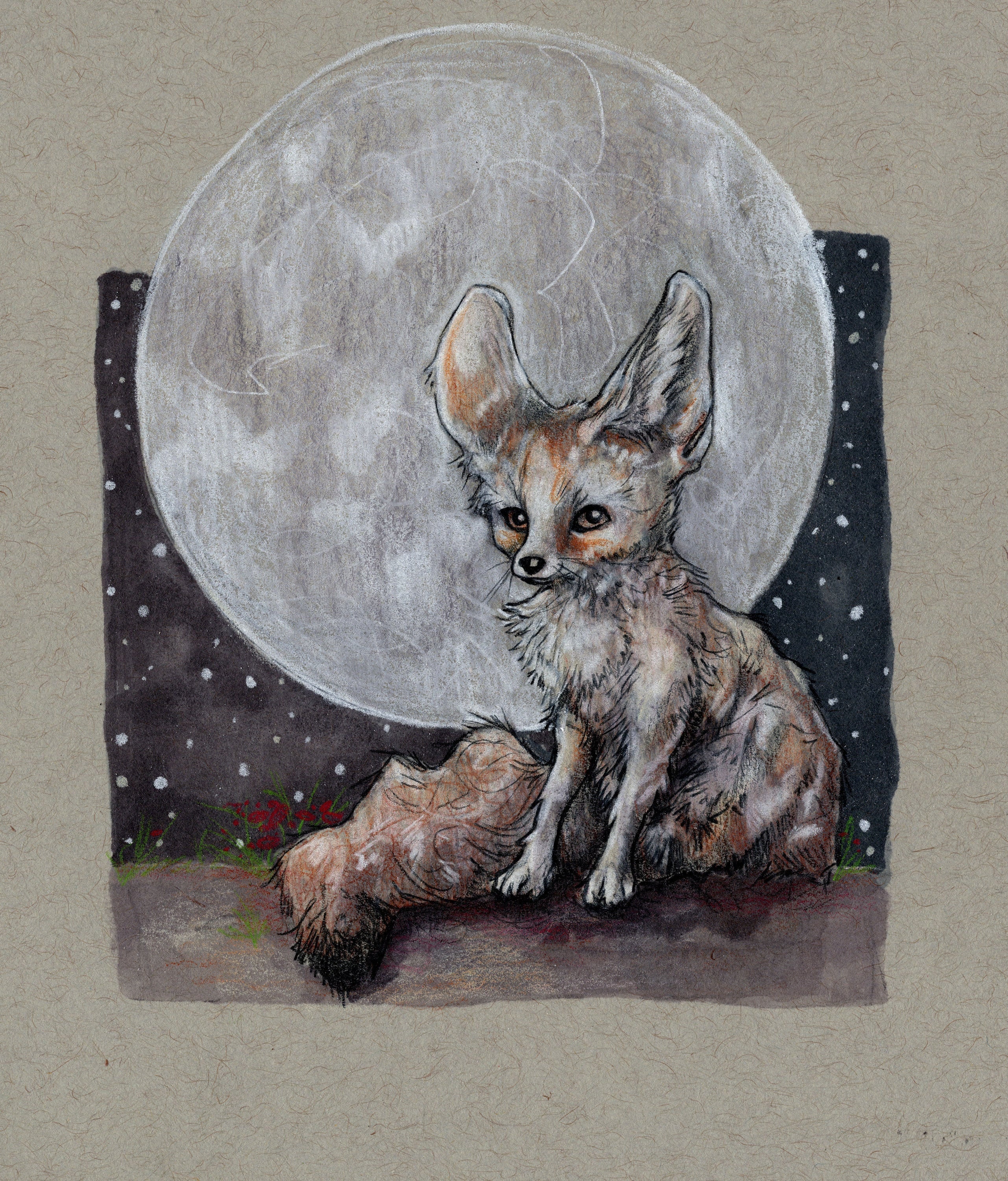 Fennec Fox Drawing Fennec Fox SVG, Clipart Graphic By Archi Design
