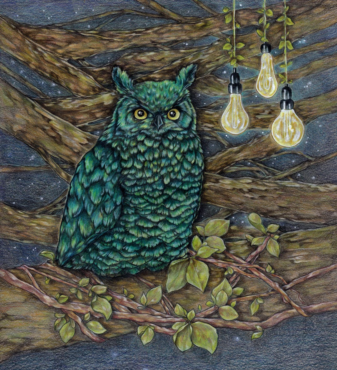 When the Owl Asks Why: Blue Owl (original Colored Pencil Drawing ...