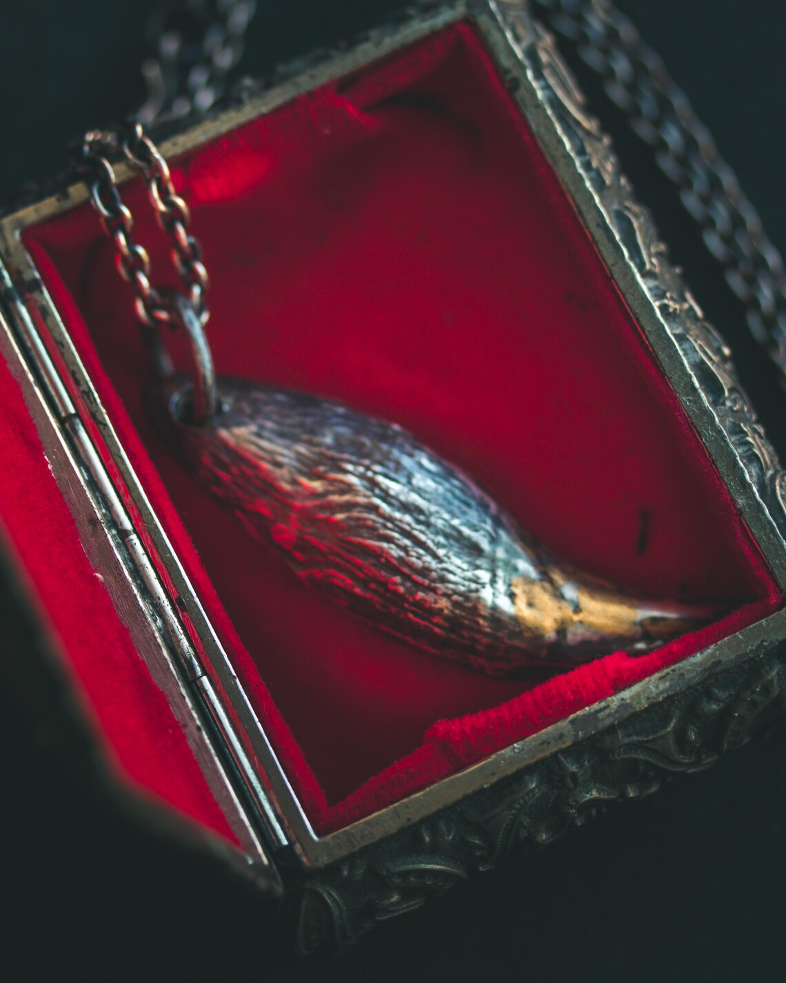 Large Black Bear Fang Pendant: A Symbol of Strength and Wilderness - Etsy