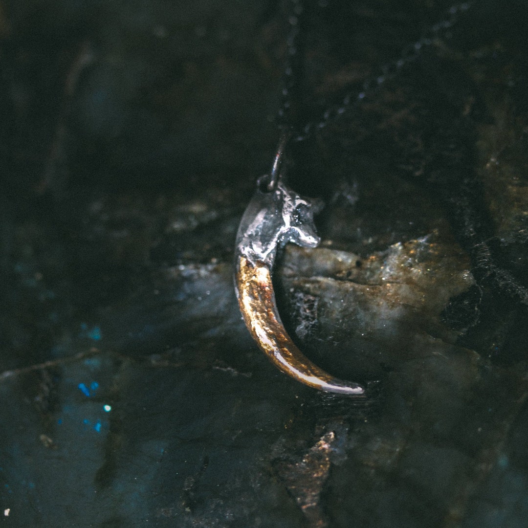 Great Horned Owl Talon Pendant: A Symbol of Wisdom and Power - Etsy