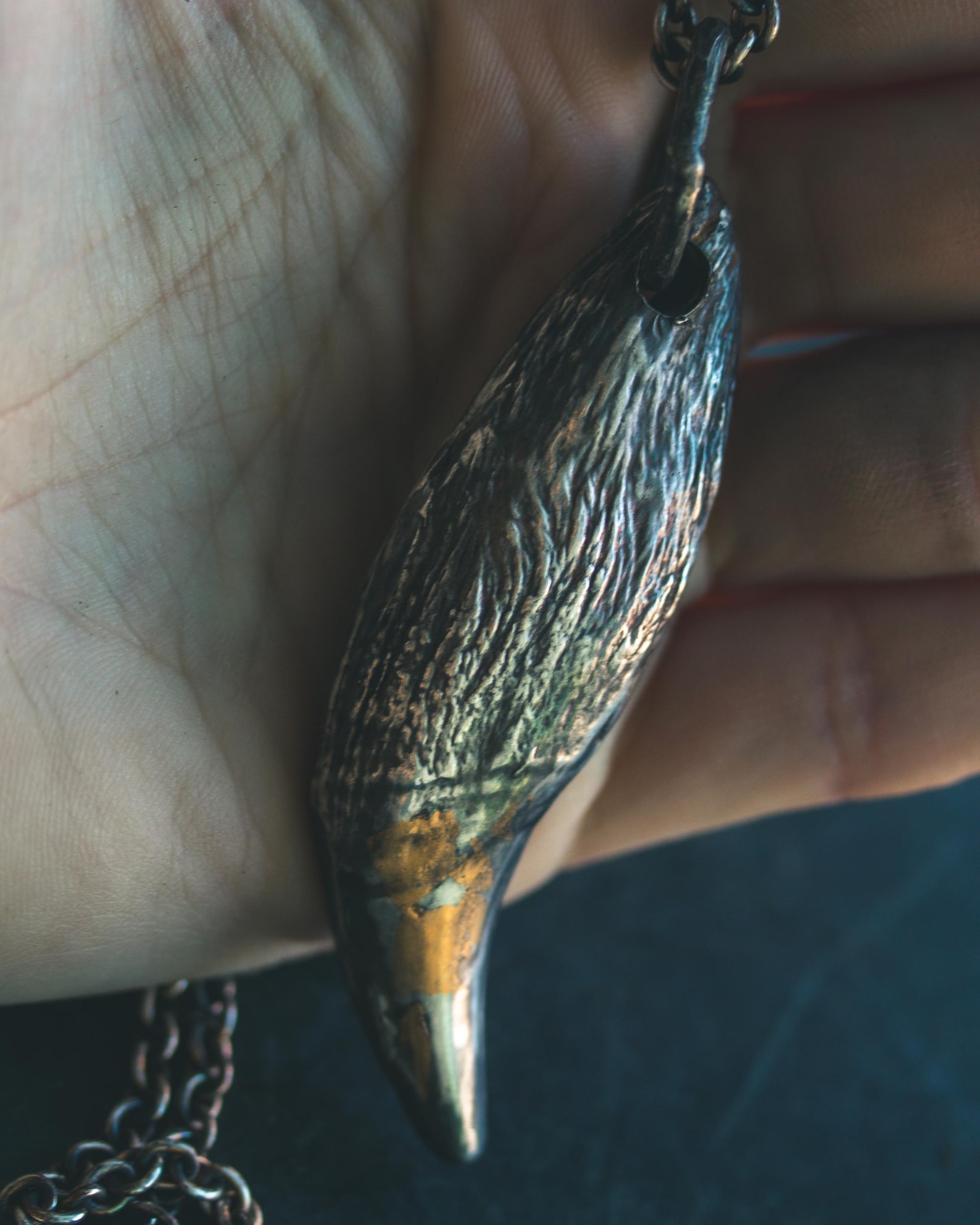 Large Black Bear Fang Pendant: A Symbol of Strength and Wilderness - Etsy