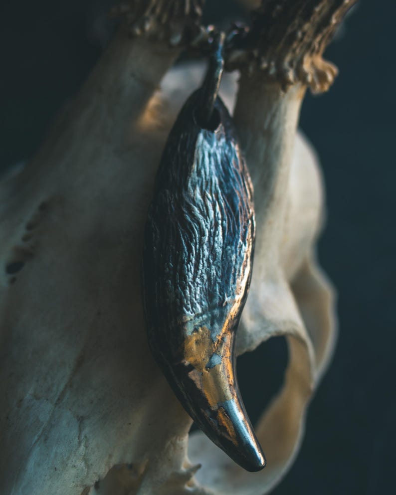 Large Black Bear Fang Pendant: A Symbol of Strength and Wilderness - Etsy