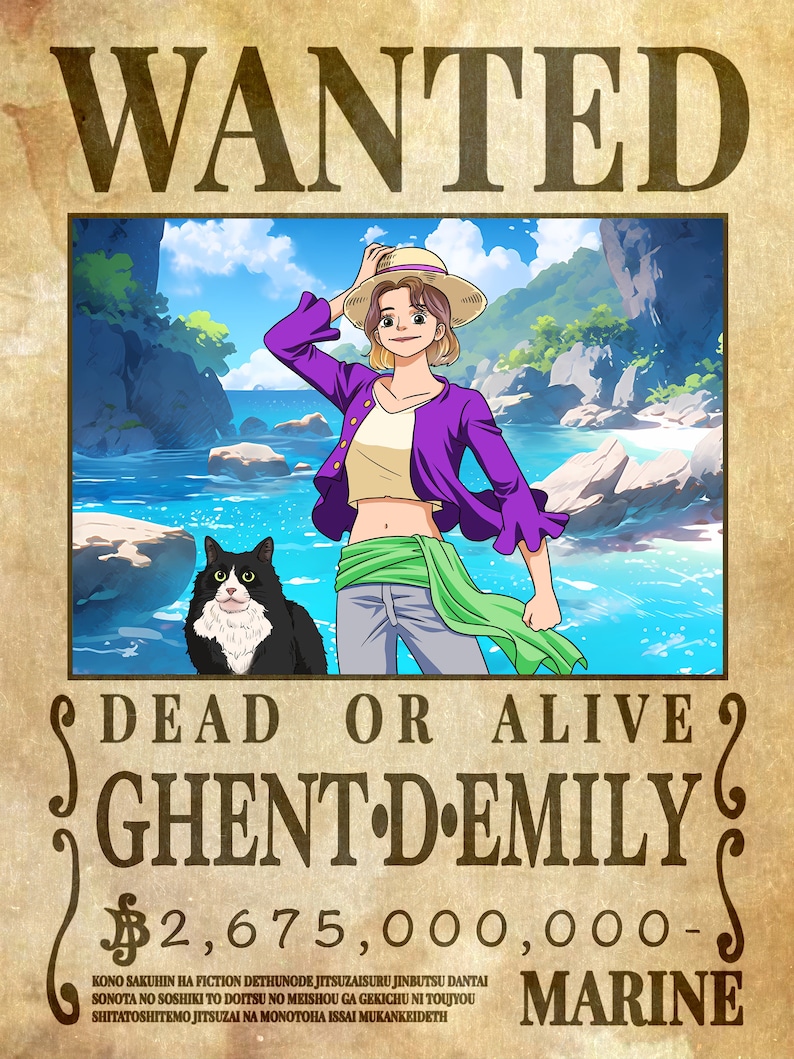 Custom Anime Wanted Poster, Portrait With Bounty, Pirate Poster ...