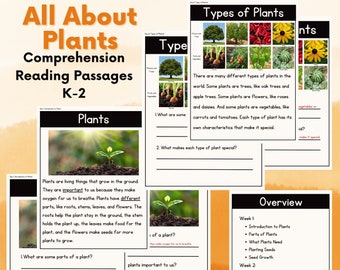 Digital Download Anchor Chart Poster Adding Subtracting - Etsy UK