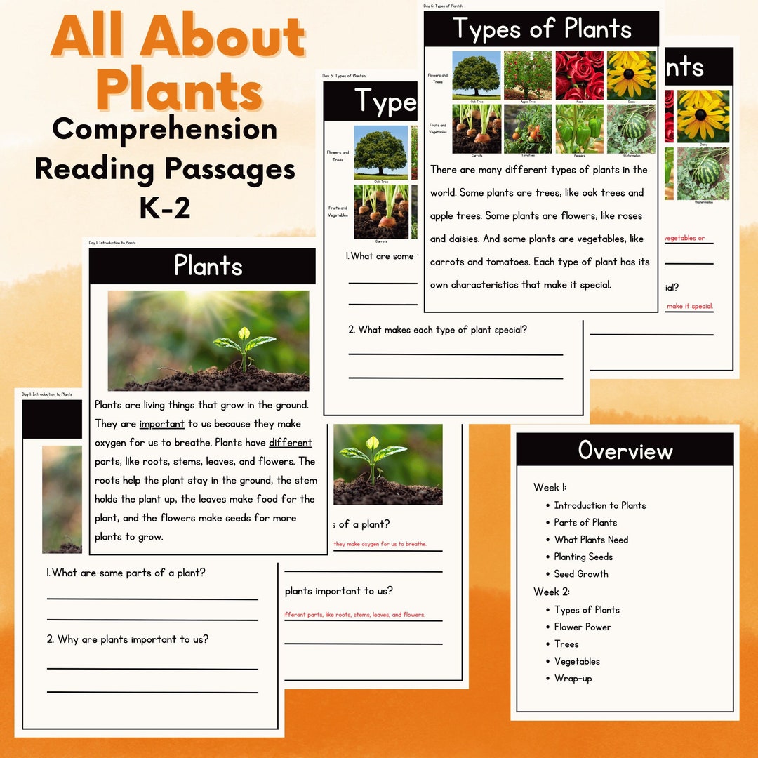 No Prep Comprehension Reading Passages Spring Plant Lifecylcle All ...