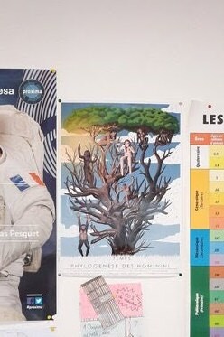 Scientific and Artistic A2 Poster phylogenesis OF Hominini - Etsy UK