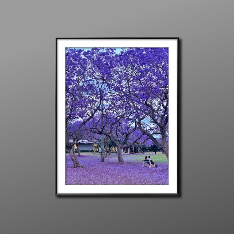 Jacaranda Tree Print - Etsy