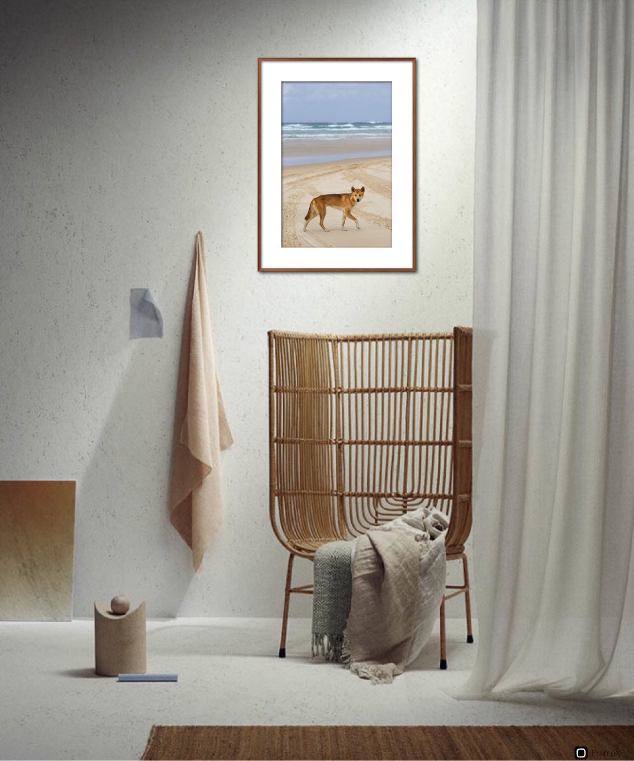 Dingo Photo Print Australian Dingo Art Dingo Digital Print - Etsy