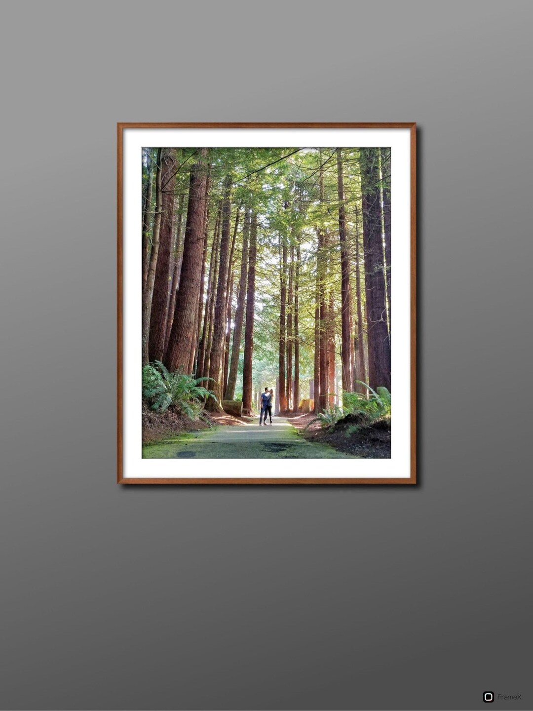Redwood Tree Print / Redwood Tree Wall Art / Redwood Prints / Redwood ...