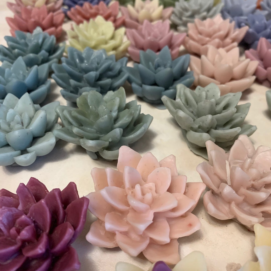 Lotus Truffle Intention Candles, Set of 6 - Etsy