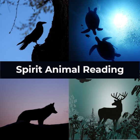 Spirit Animal Reading - Etsy