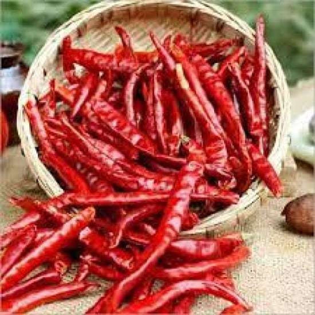 25 Samba Red Chilli Seeds, Non-gmo ,organic Seeds ,samba Milagai Vathal ...