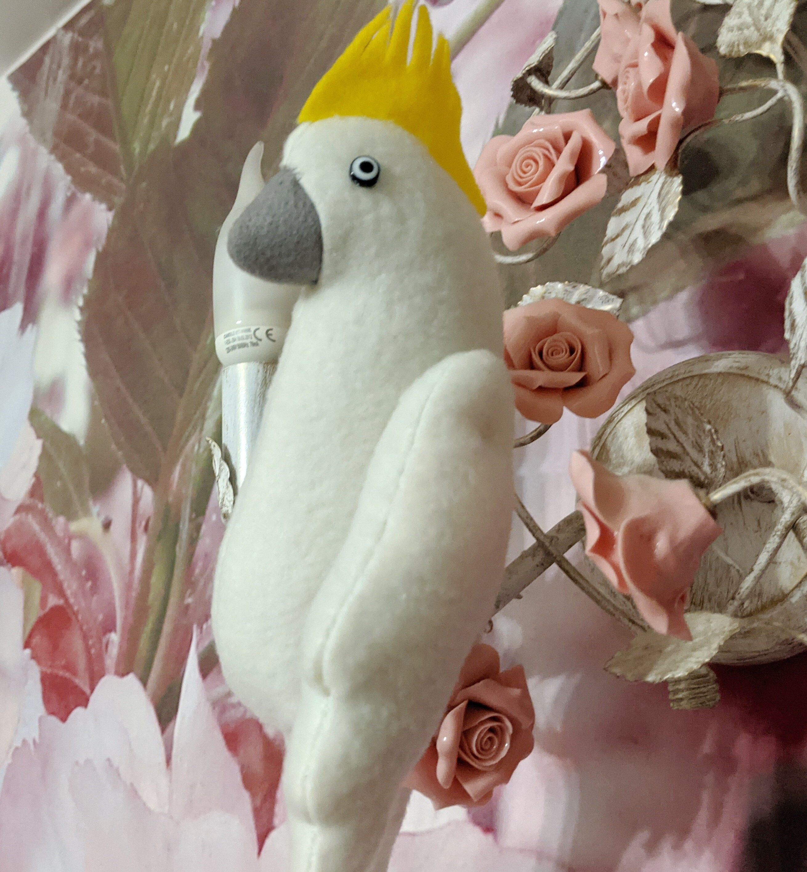 PDF Pattern Cockatoopdf Patterncloth Cockatoo Patternpdf - Etsy Australia