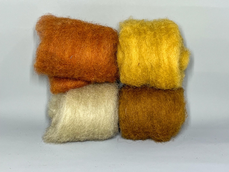 Carded Corriedale Wool Sliver: Natural Needle Felting Roving - Pet ...