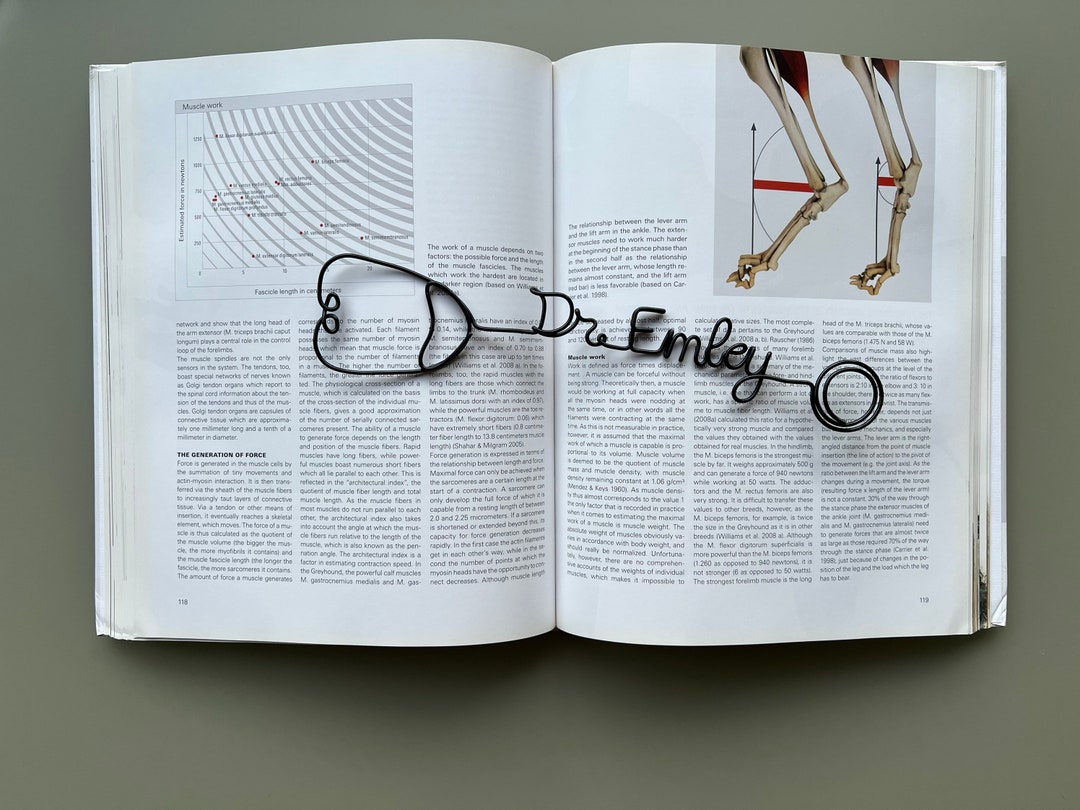 Personalised Stethoscope Bookmark | Wire Bookmark | Med Student Gifts ...