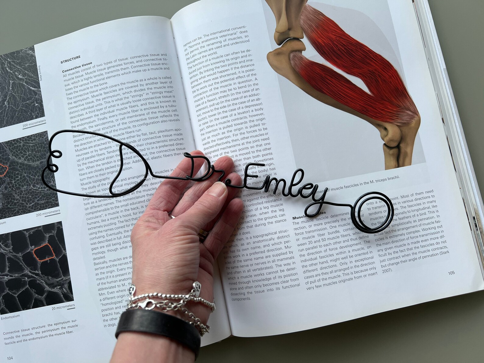 Personalised Stethoscope Bookmark Wire Bookmark Med | Etsy