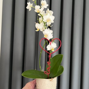 Wire Love Heart | Wire Hearts | Wire Love Gifts | Lovers Gifts ...