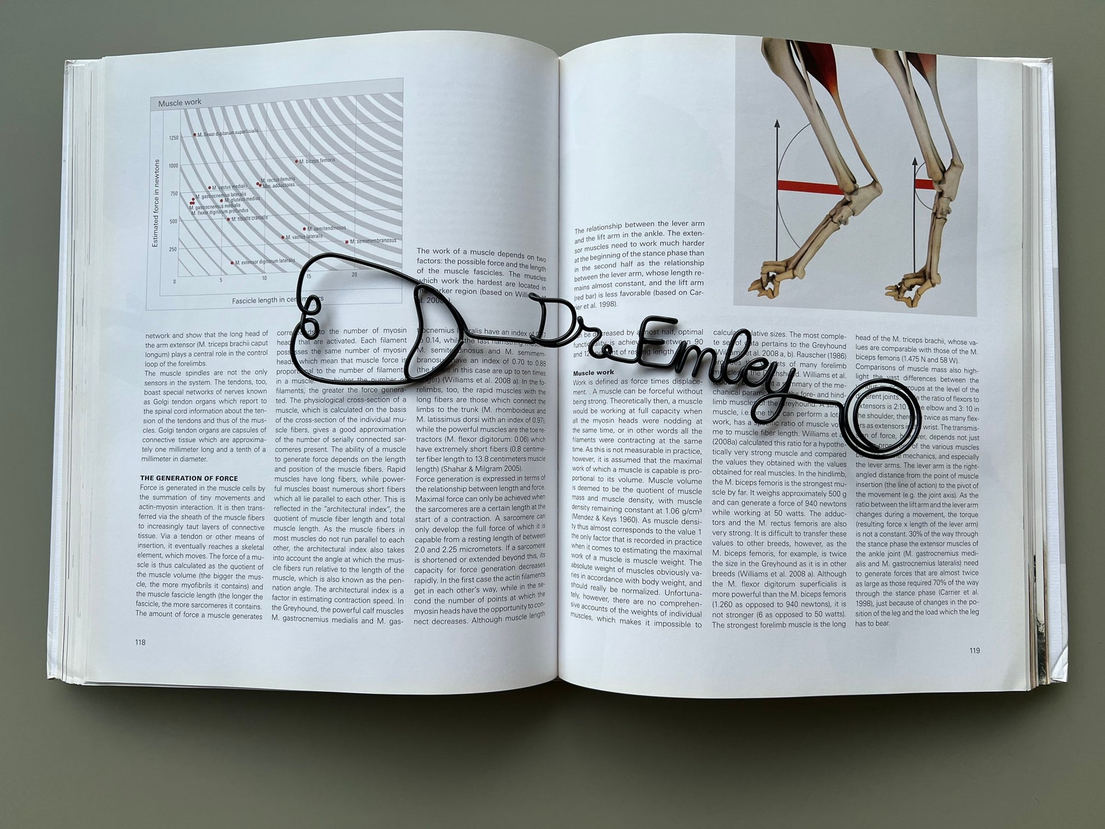 Personalised Stethoscope Bookmark | Wire Bookmark | Med Student Gifts ...