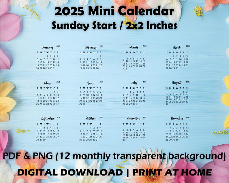Printable 2025 PNG Calendar, 2x2 Inches, Transparent Monthly Calendar ...