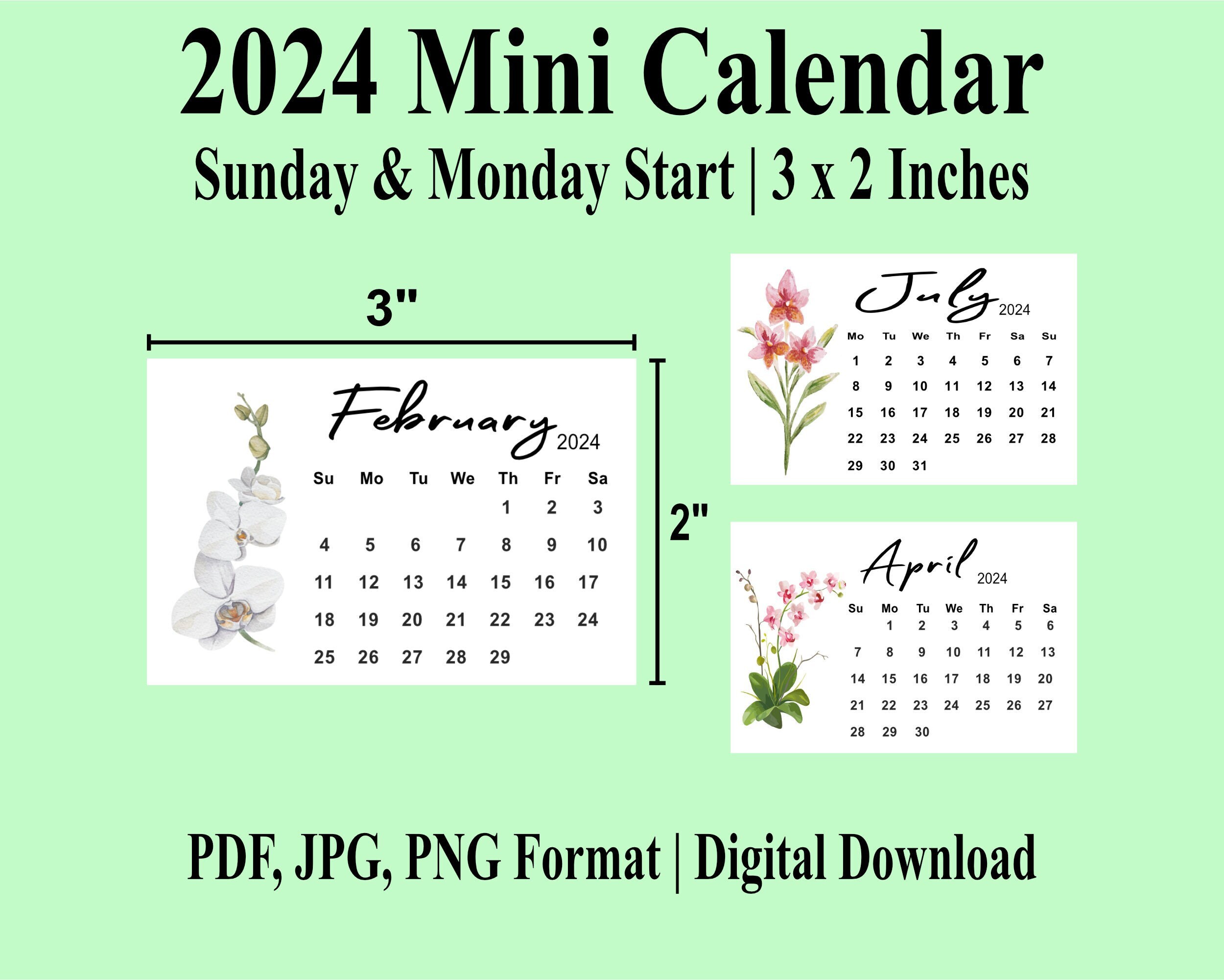 Orchid 2024 Mini Calendar Sep-dec 2023 Included 3x2 Inches - Etsy UK