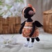 Crow Doll Crochet Pattern Halloween Amigurumi Doll Bird - Etsy