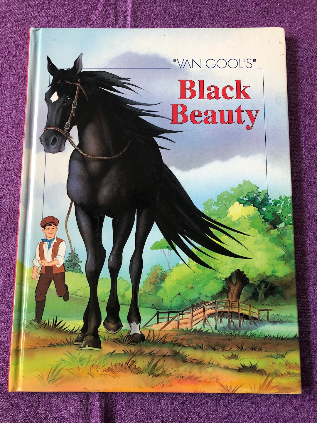 Van Gool’s” Black Beauty, First Edition Hardcover, 1999 - Etsy