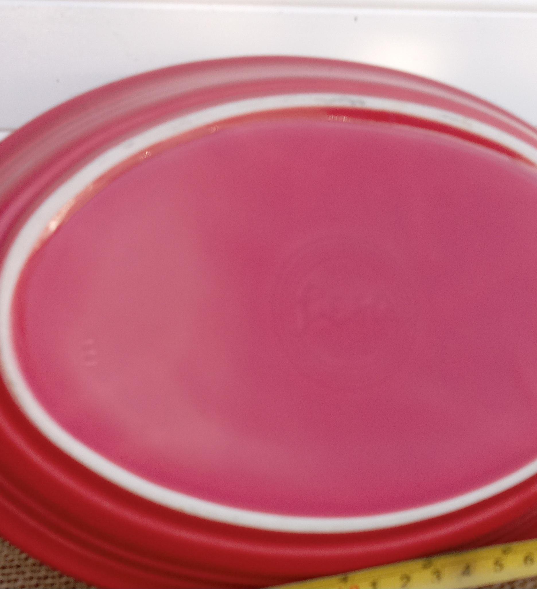 Fiesta Red Plate/ Red Plate/ Fiesta Oval Small Plate/ Fiesta Red Plate ...