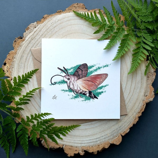Hawk Moth - Etsy