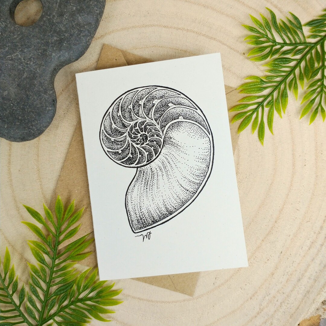 Nautilus Shell Greeting Card, Sea Creature Mini Notecard, Seashell ...
