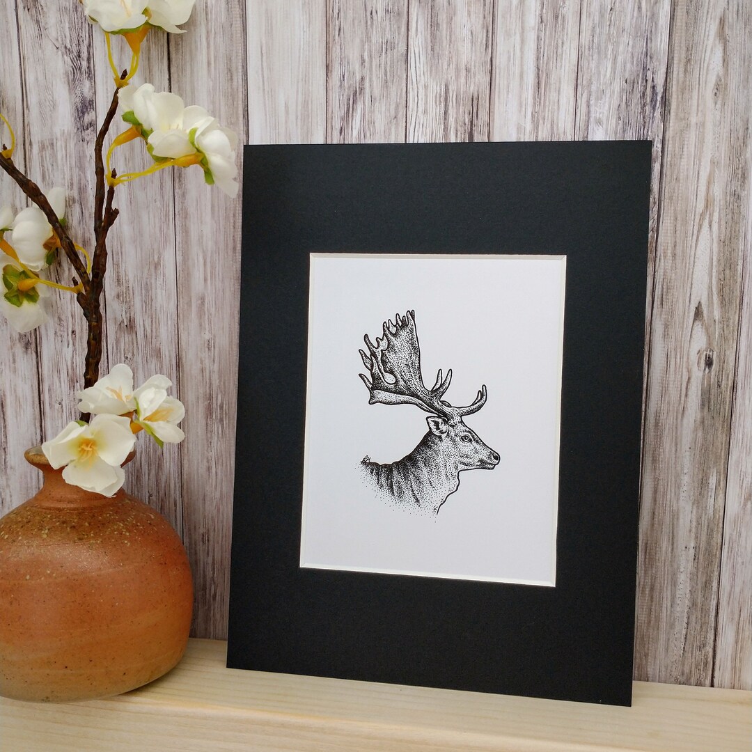 Fallow Deer Wall Art: Original Wildlife Ink Illustration - Etsy
