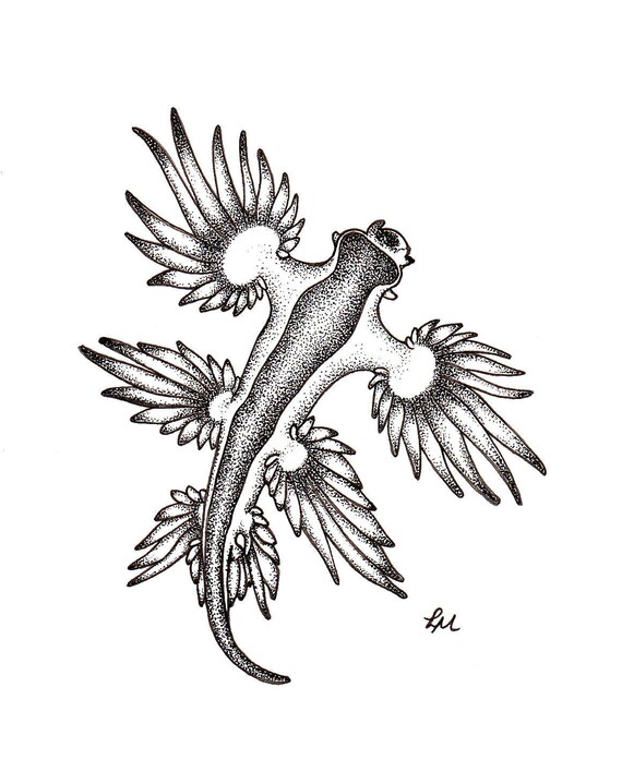 Blue Dragon Sea Slug Tattoo