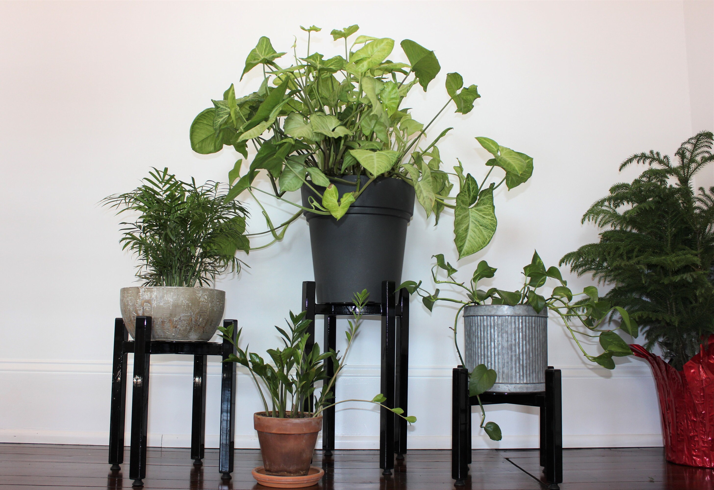 Modern Metal Plant Stand-black| Indoor/outdoor Plant Stand| Black ...