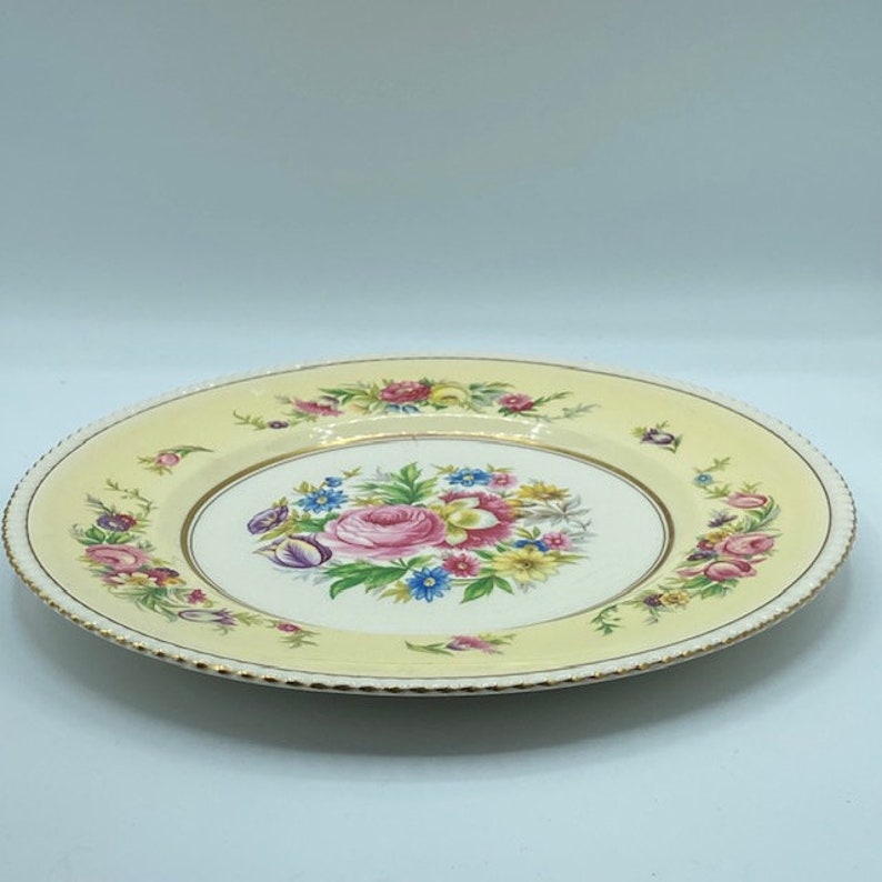 Vintage Plate - Simpsons Potters Ltd. - Ambassador Ware - Cobridge ...
